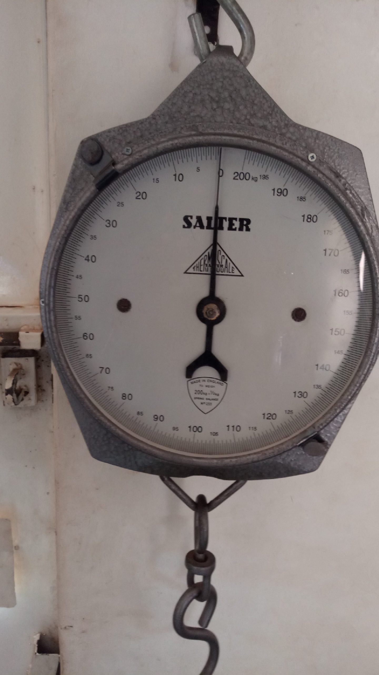 Salter Mechanical Spring balance - Druco